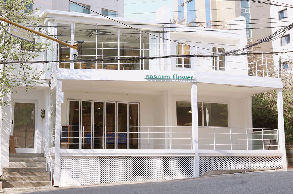 [BASIUM FLOWER] 자나 장미 100송이 꽃다발 - 마켓컬리